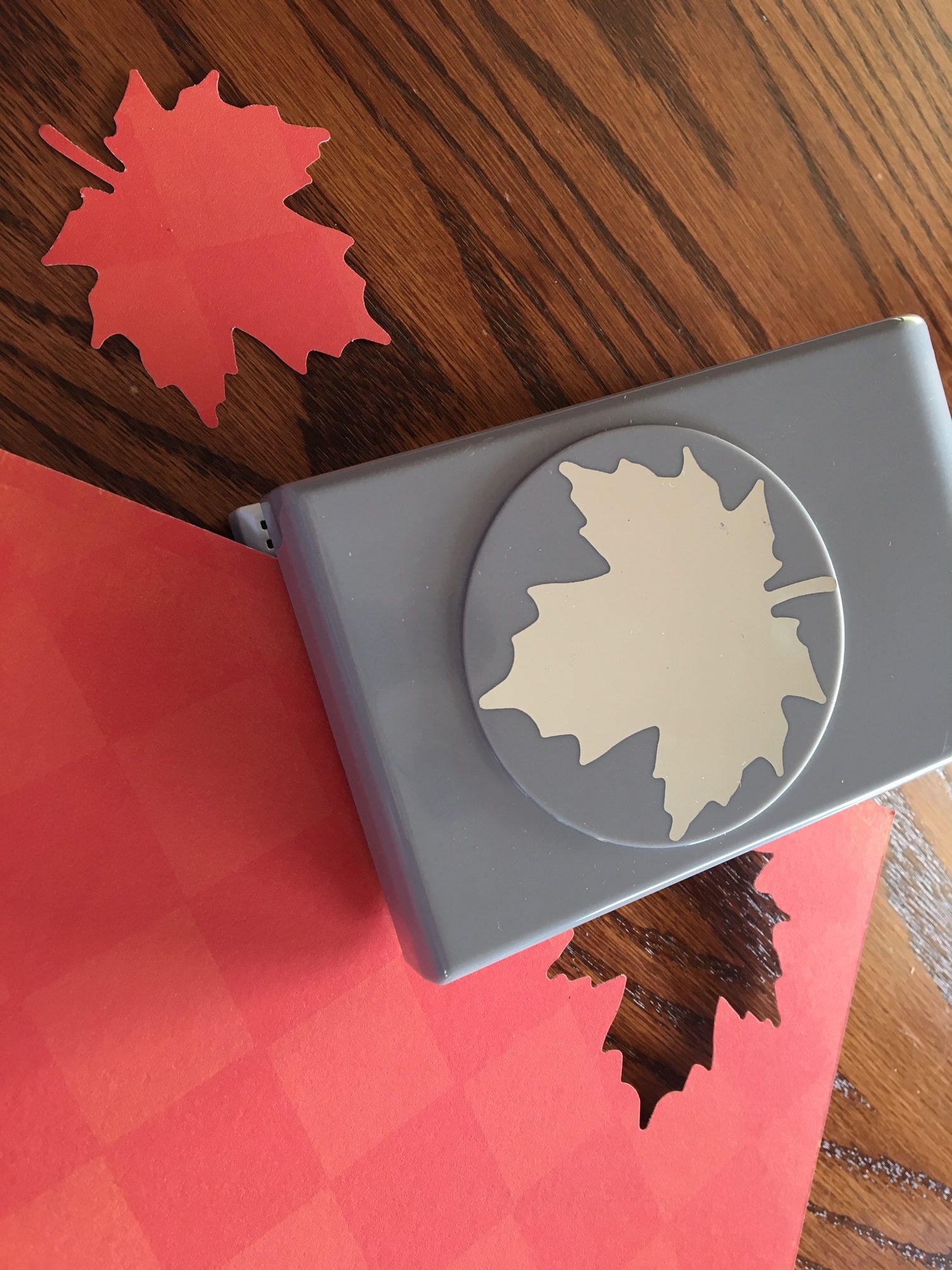 Leaves of Gratitude – Homespun Sugar
